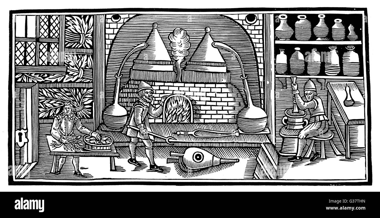 Compound plants hi-res stock photography and images - Alamy