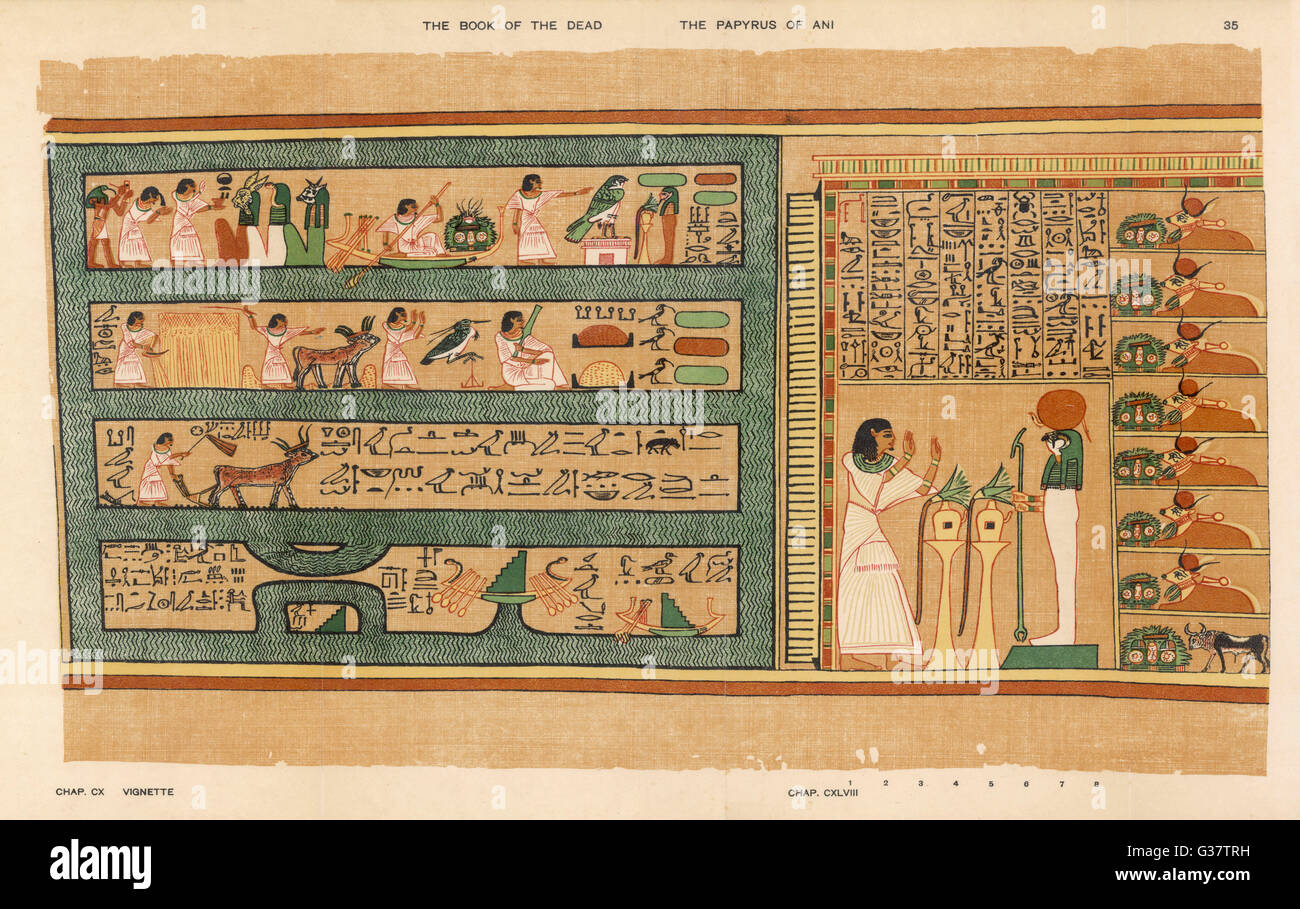 Book of the Dead - Ancient Egypt Stock Photo - Alamy