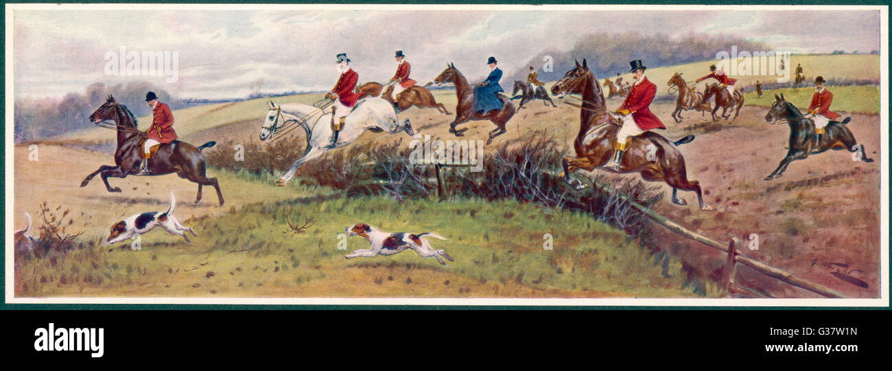 Fox Hunting - in Full Cry Stock Photo - Alamy