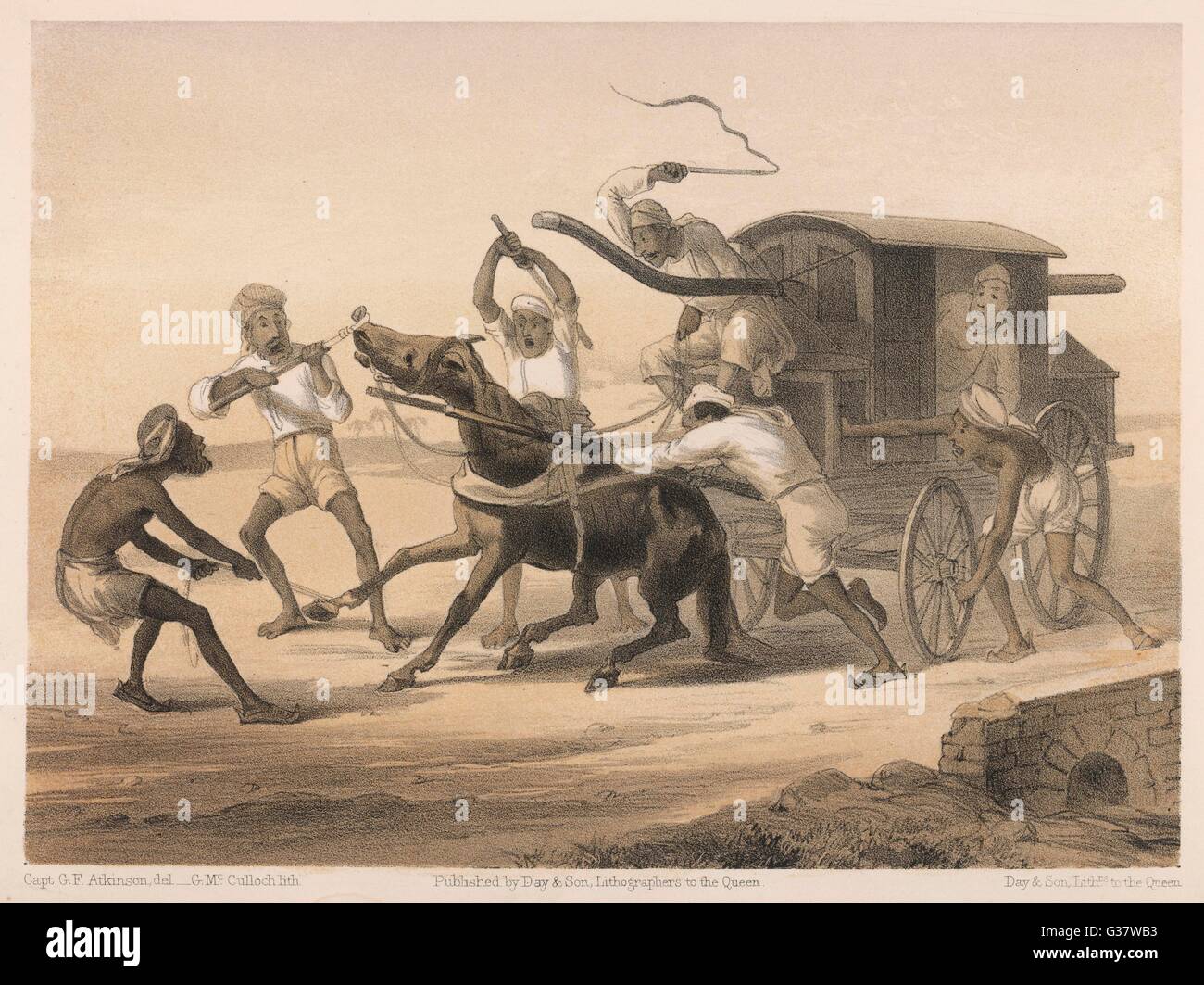 Man in horse carriage hi-res stock photography and images - Alamy