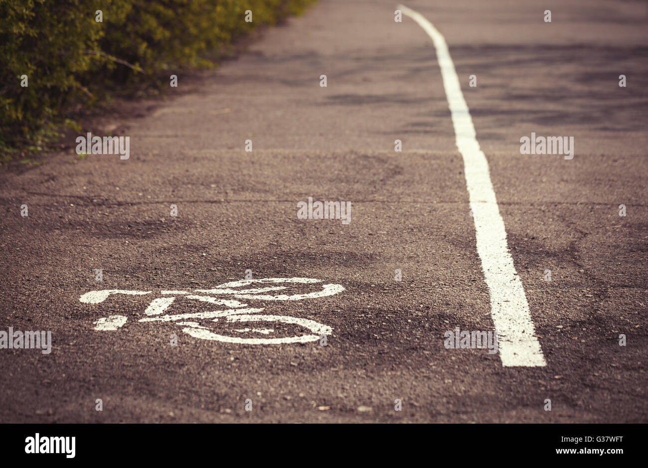 Separate bicycle lane on asphalt in the park. White bike symbol and ...