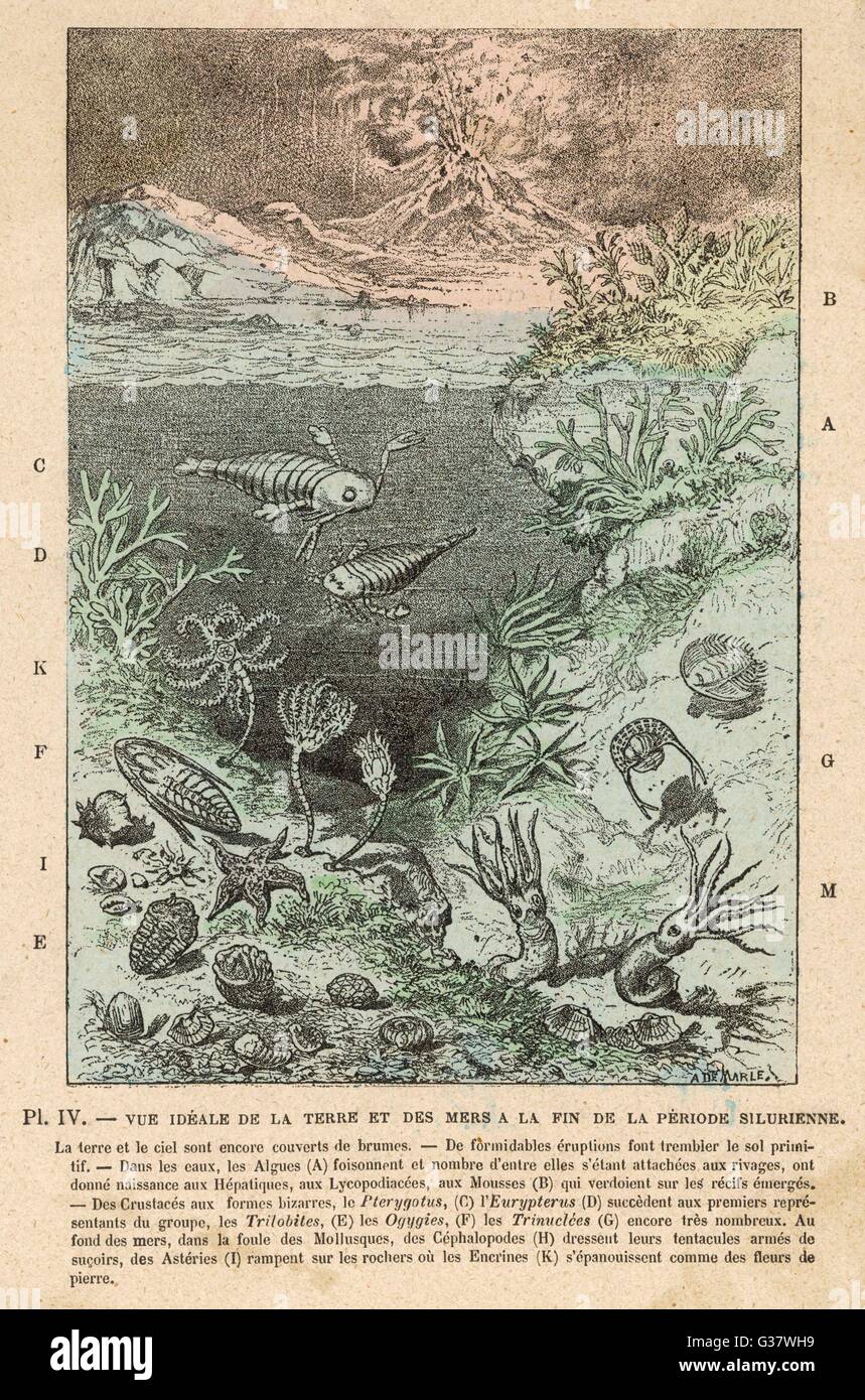 Silurian High Resolution Stock Photography and Images - Alamy