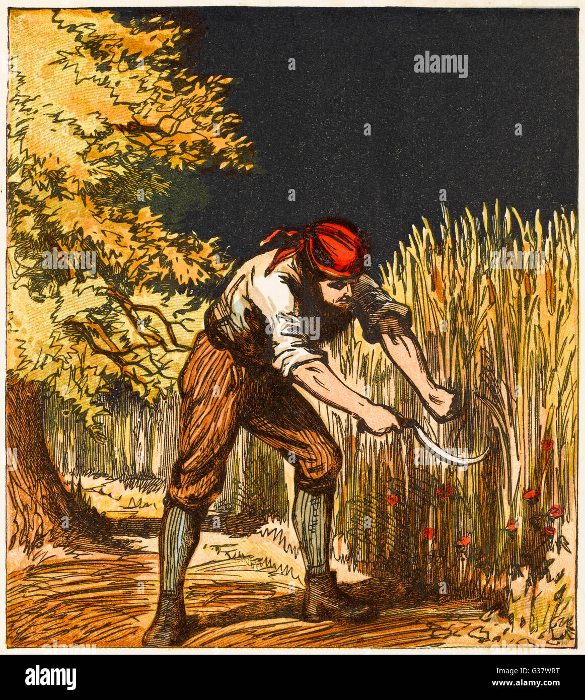 Victorian 19th Century Farming High Resolution Stock Photography and ...