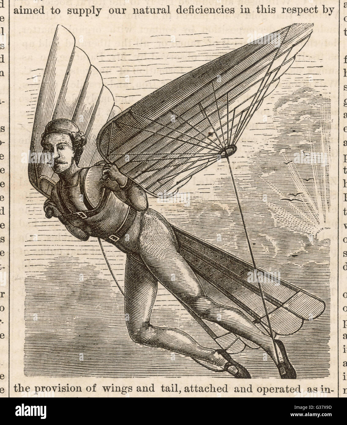 Quimby hi-res stock photography and images - Alamy