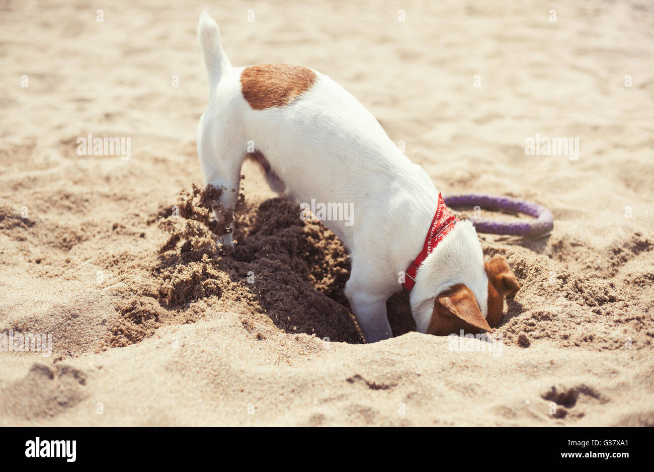 Cute kids on the beach hi-res stock photography and images - Alamy
