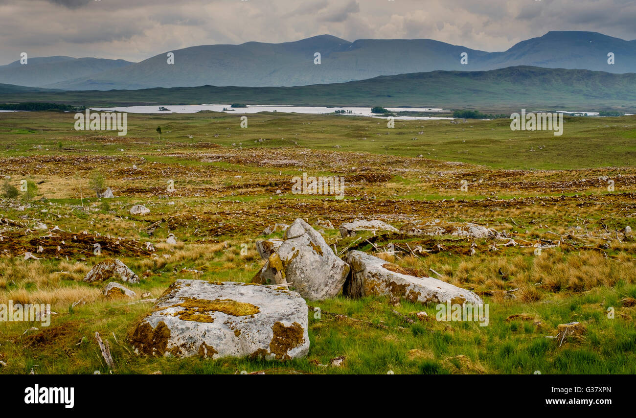 Moor storm hi-res stock photography and images - Alamy