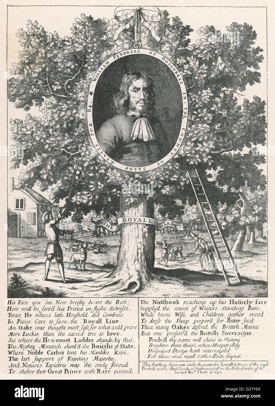 William Pendrill & the Boscobel Oak Stock Photo - Alamy