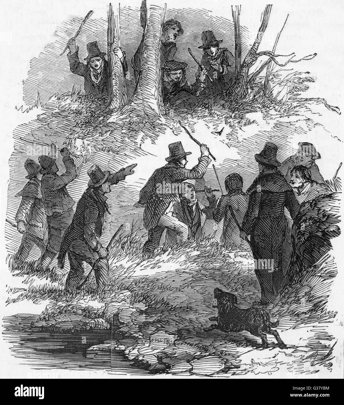 Hunting of the wren hi-res stock photography and images - Alamy