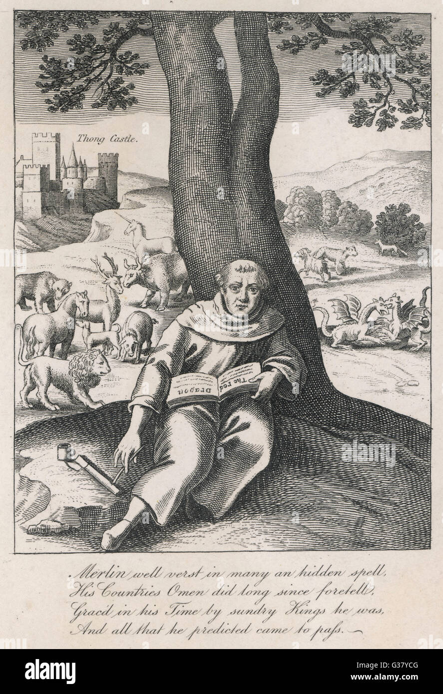 Merlin reading a magical book Stock Photo - Alamy