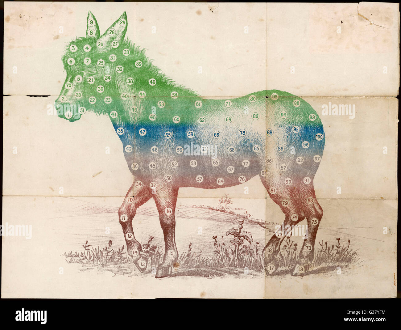 Pin the tail on the donkey game hi-res stock photography and images - Alamy