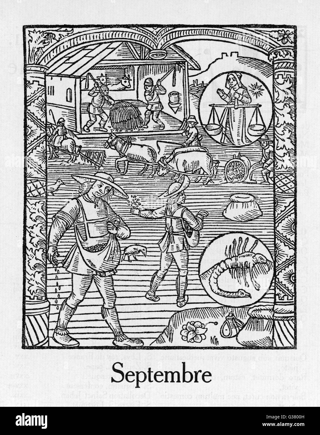 MONTH / SEPTEMBER Stock Photo - Alamy