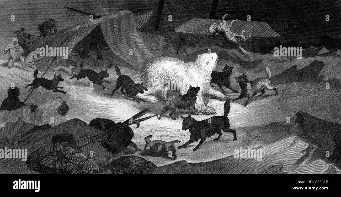 Arctic expedition hi-res stock photography and images - Alamy