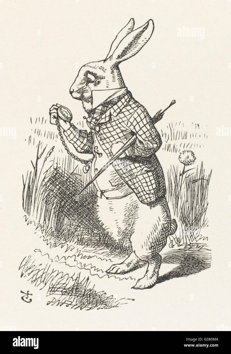 The White Rabbit from Alice in Wonderland Stock Photo - Alamy