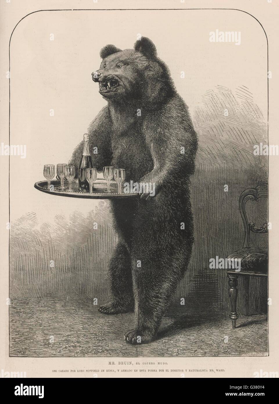 Lord Suffield High Resolution Stock Photography and Images - Alamy