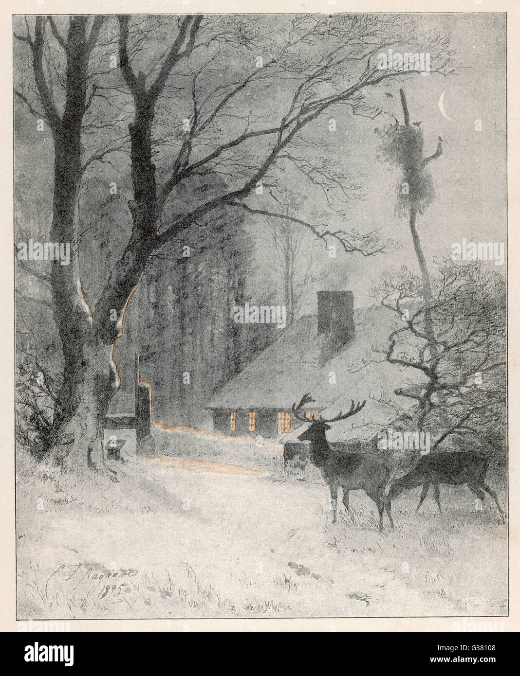 Deer Near House Stock Photo - Alamy