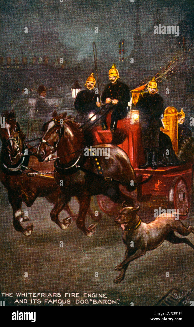 Dog by the fire hi-res stock photography and images - Alamy