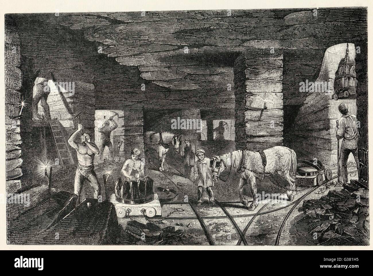 Pit Ponies - 1853 Stock Photo - Alamy