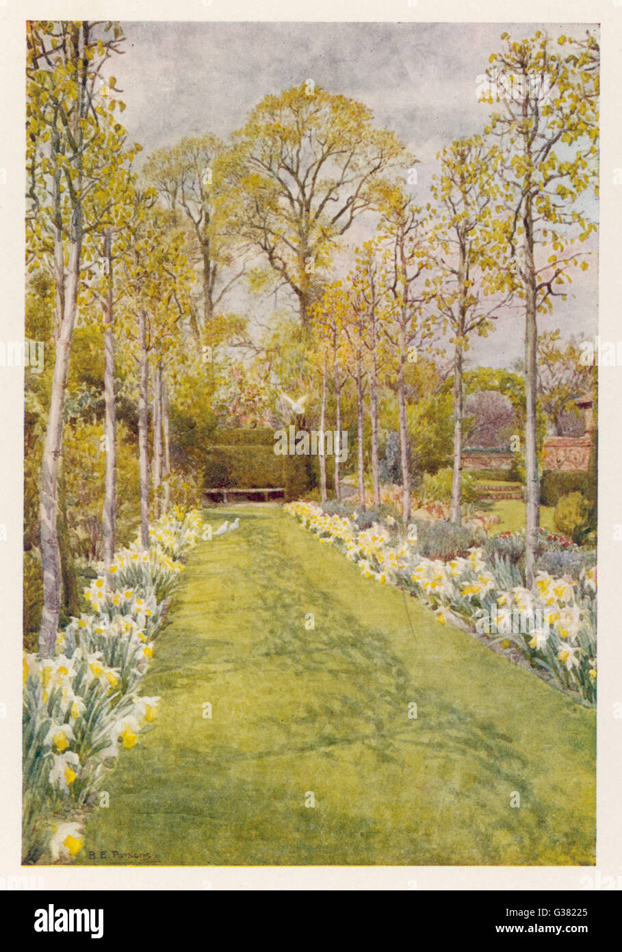 WAXWELL FARM GARDEN 1908 Stock Photo - Alamy
