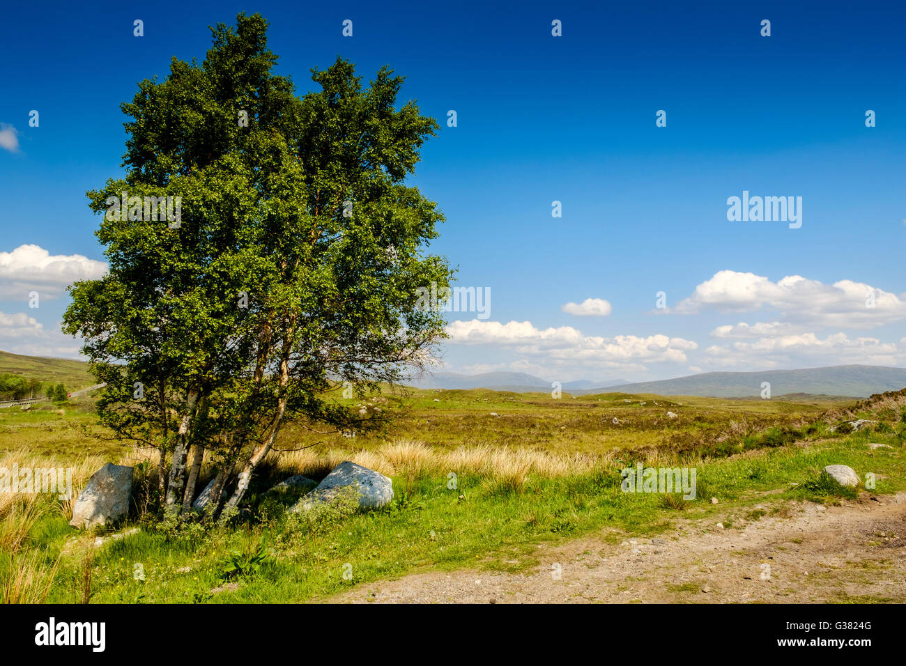 Desolate moor hi-res stock photography and images - Alamy