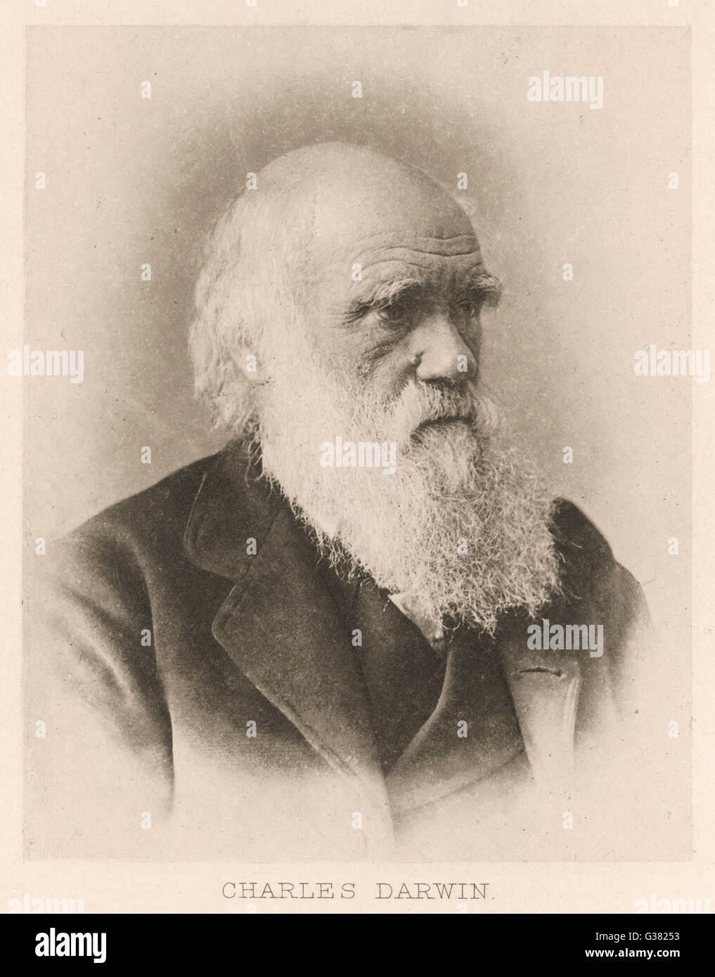 Naturalist beard hi-res stock photography and images - Alamy