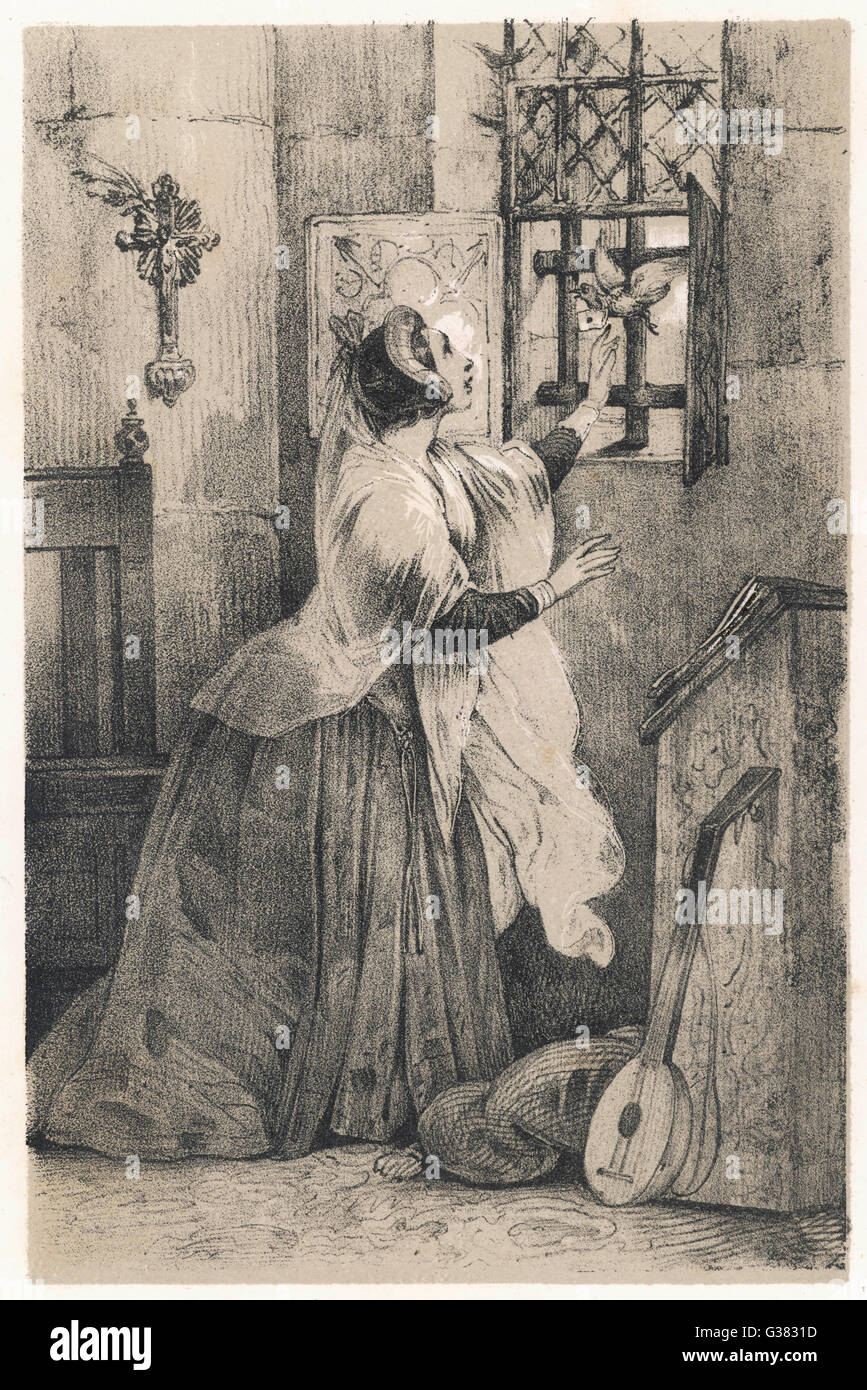 Queen pigeon hi-res stock photography and images - Alamy