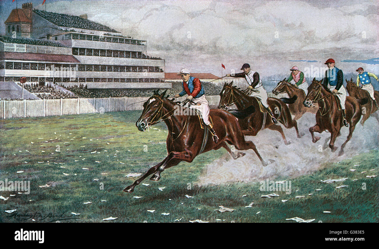 Isinglass horse hi-res stock photography and images - Alamy