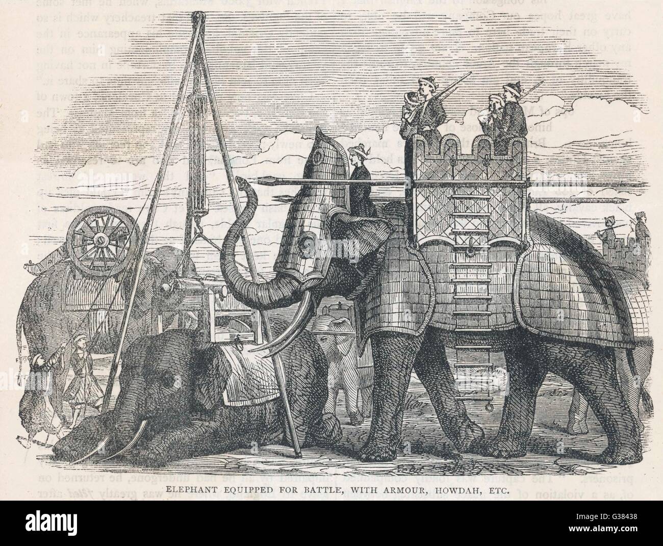 ELEPHANT IN ARMOUR Stock Photo - Alamy
