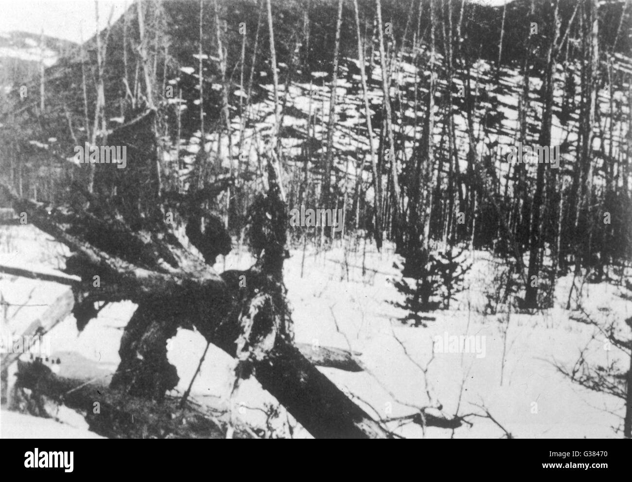 1908 photograph hi-res stock photography and images - Alamy