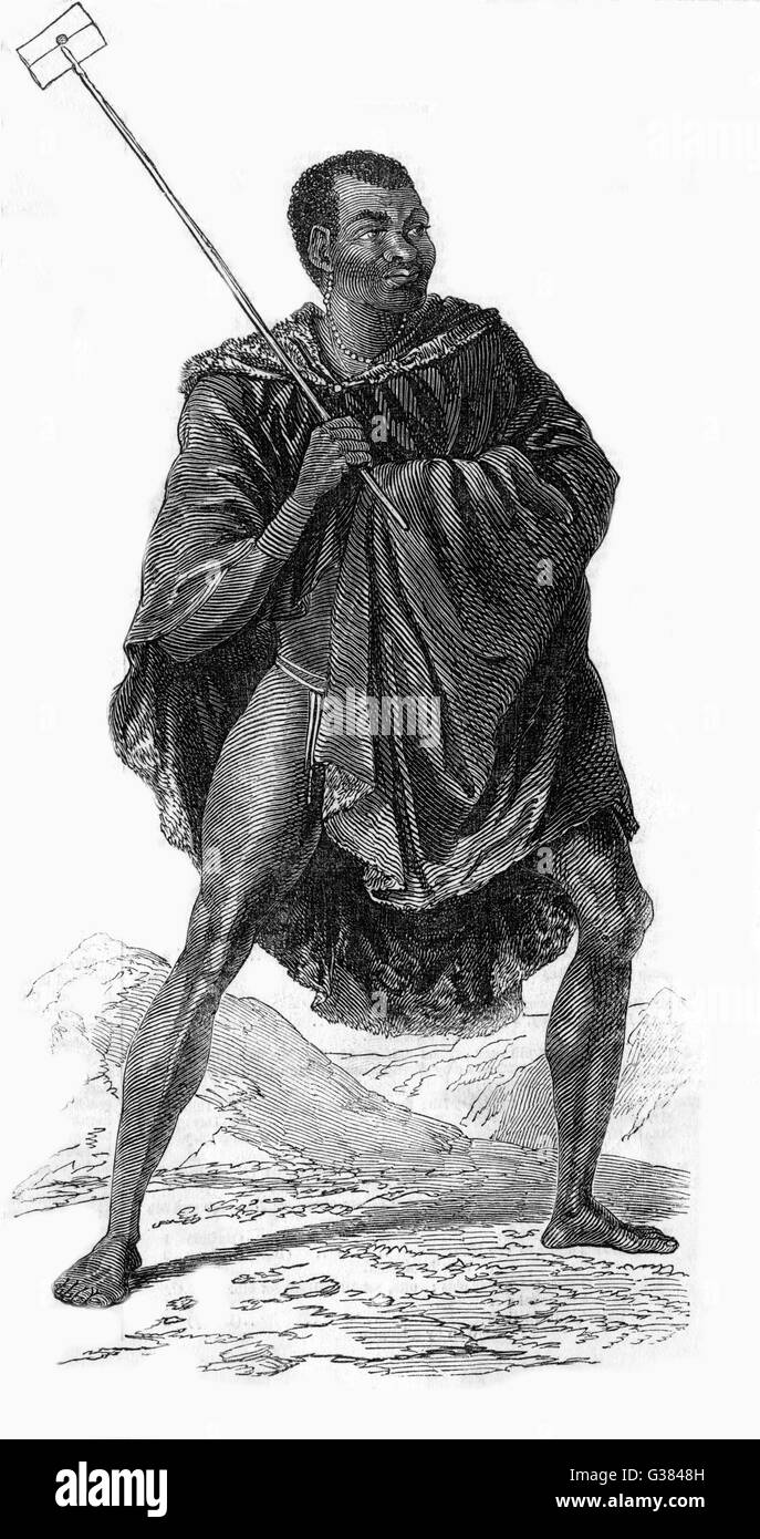 Cleft stick hi-res stock photography and images - Alamy