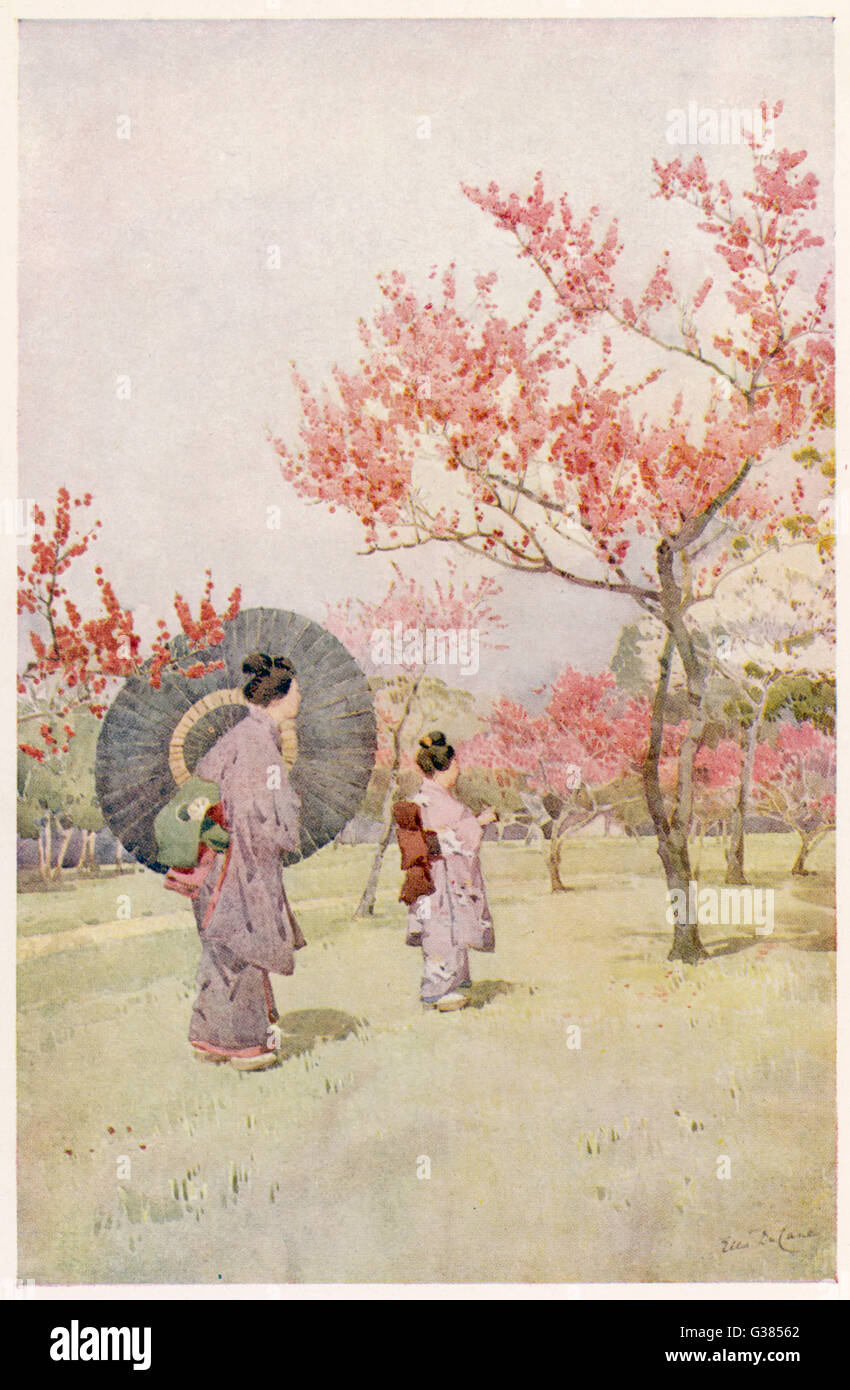 Japan Trees Peach Wallpaper Peach Tree And Little Bird With