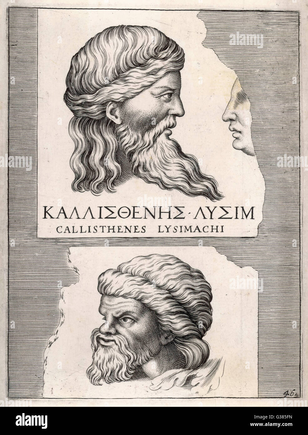 Callisthenes hi-res stock photography and images - Alamy