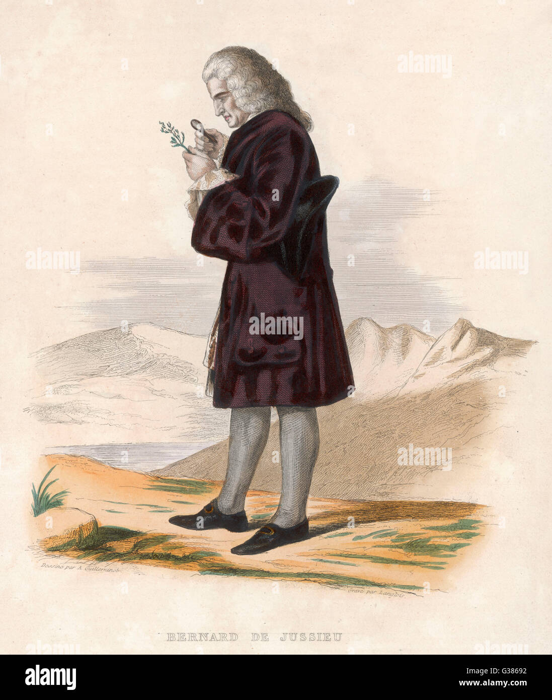 Jussieu hi-res stock photography and images - Alamy