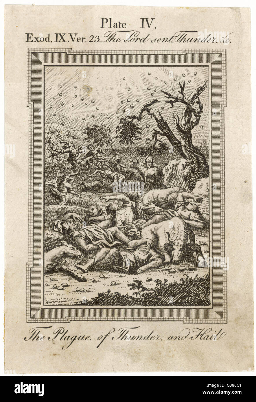 Plague egypt moses hi-res stock photography and images - Alamy