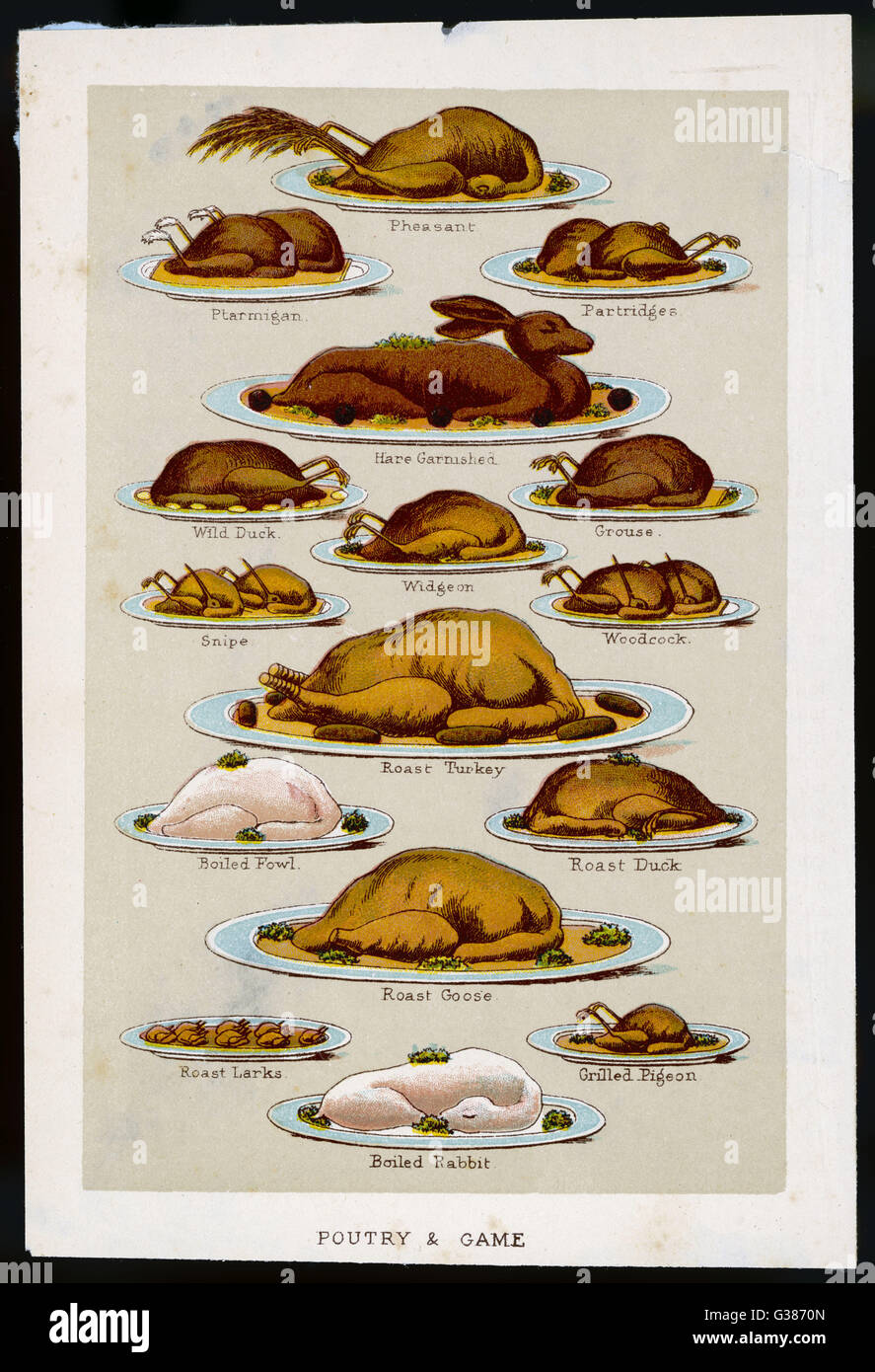 Poultry and Game Stock Photo - Alamy