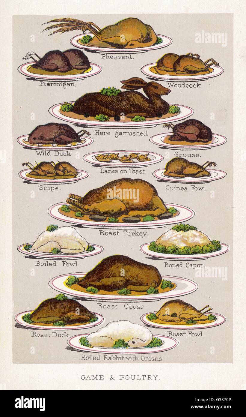 GAME & POULTRY Stock Photo - Alamy