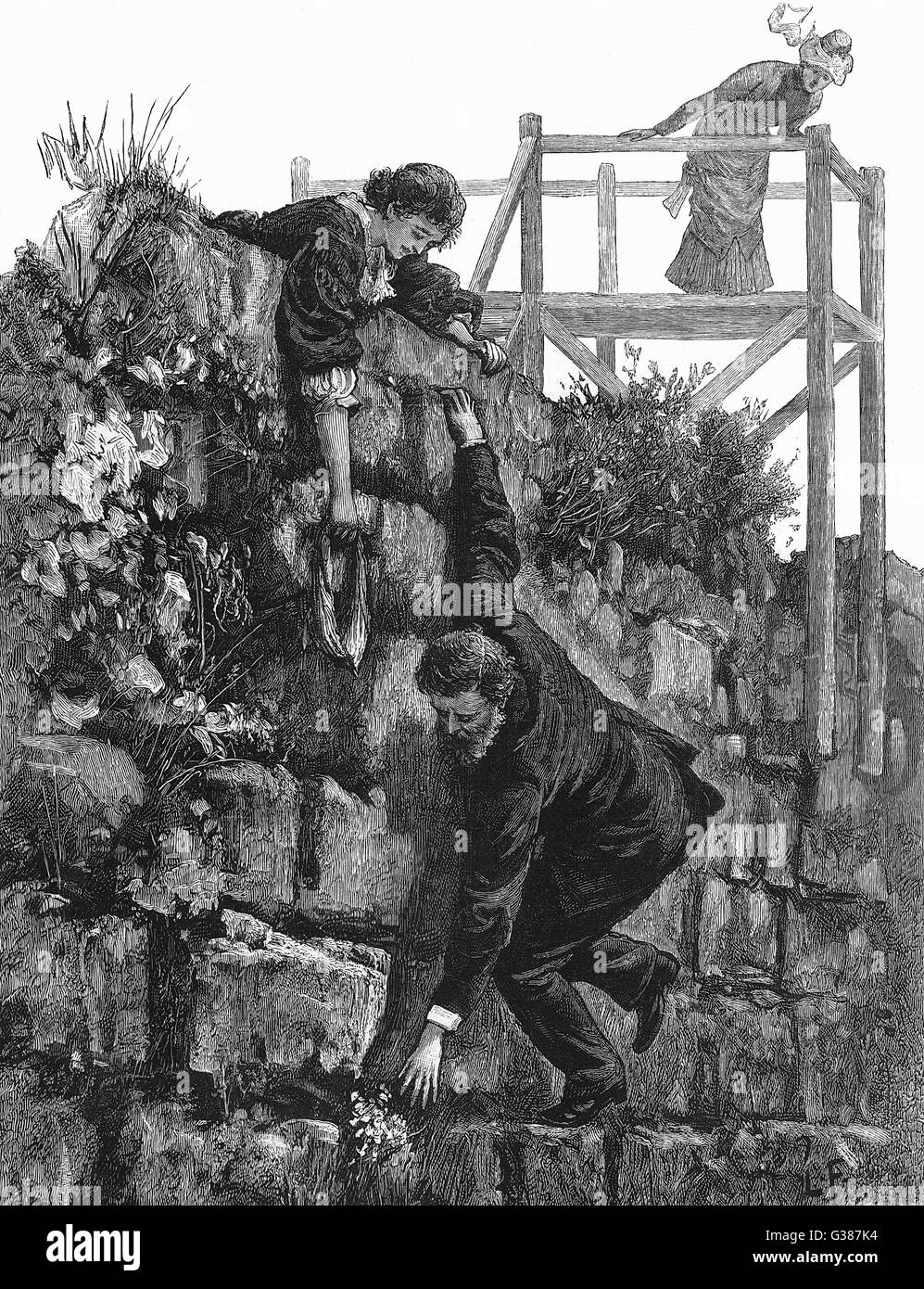 PICKING FLOWER IN WALL Stock Photo - Alamy