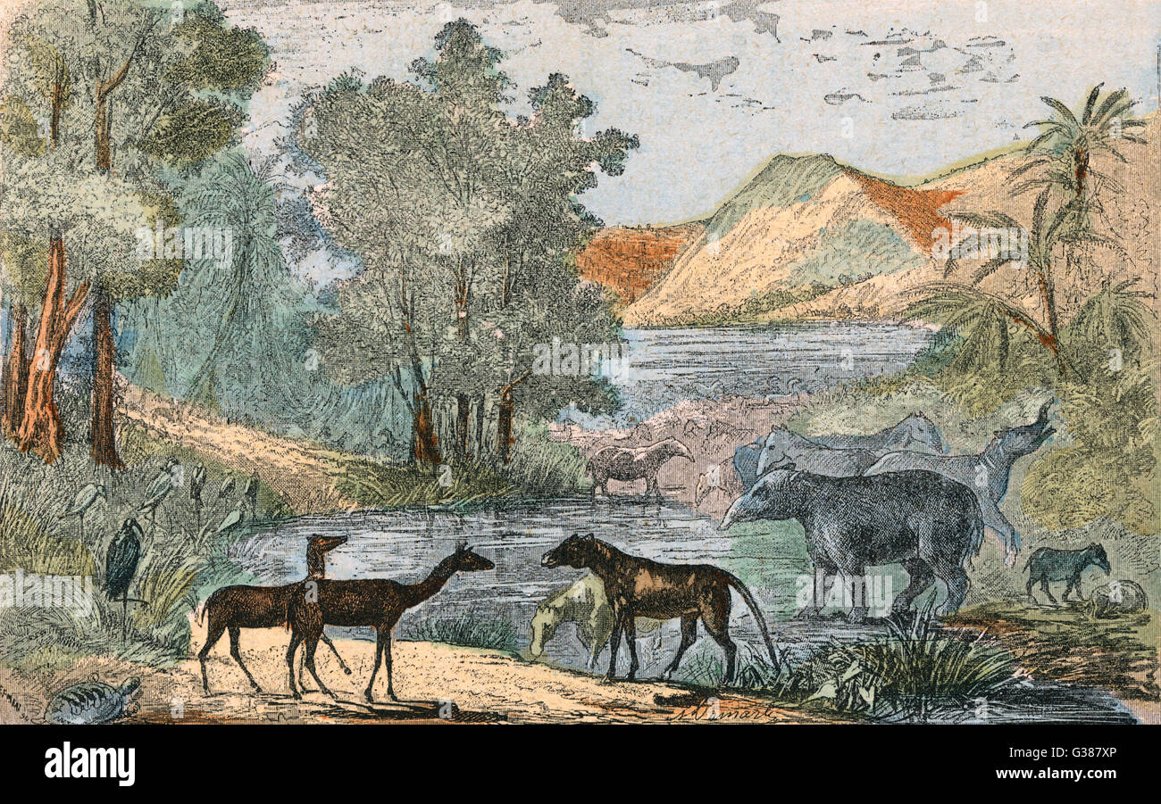 Eocene landscape hi-res stock photography and images - Alamy