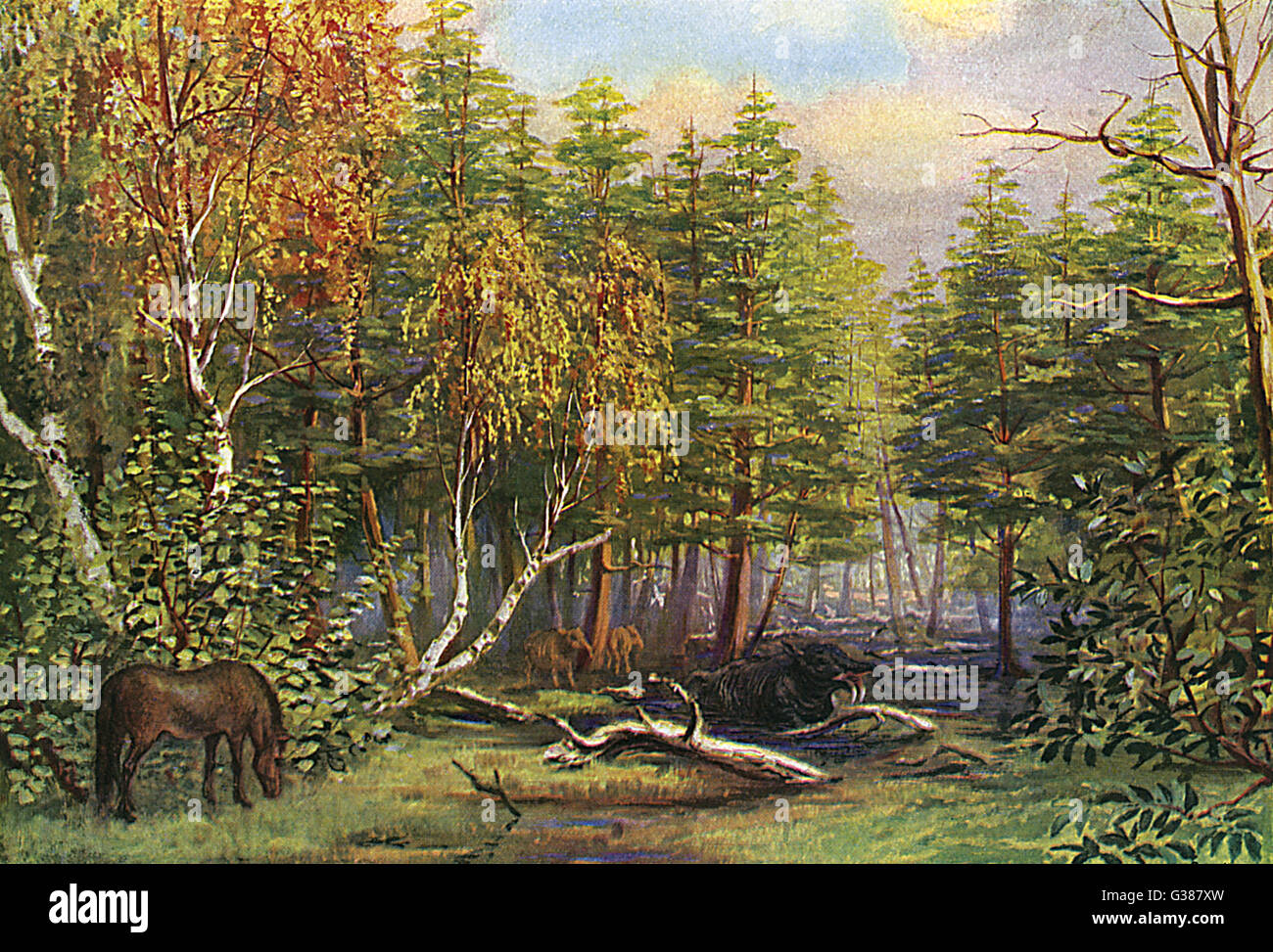 Miocene hi-res stock photography and images - Alamy