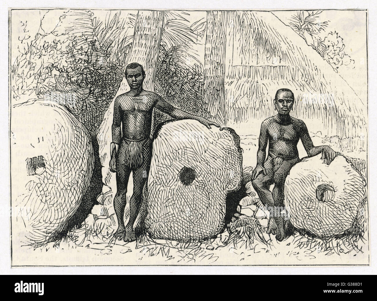 Island of yap currency hi-res stock photography and images - Alamy