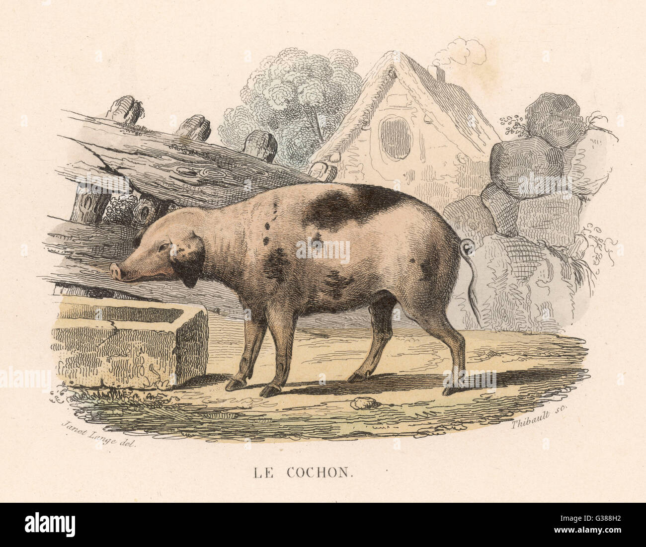 French make hi-res stock photography and images - Alamy