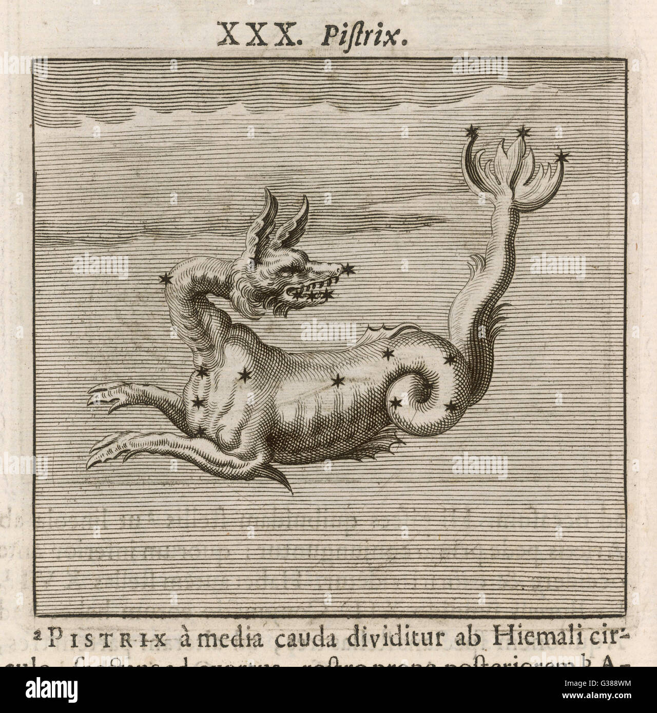 HYGINUS / PISTRIX Stock Photo - Alamy