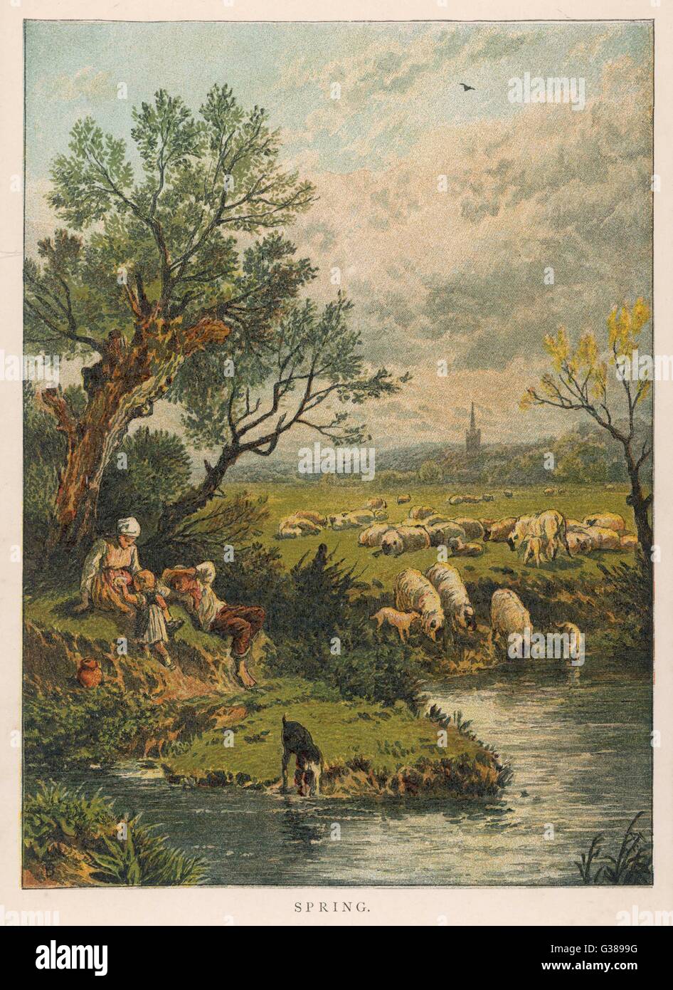 Sheep drinking from a river hi-res stock photography and images - Alamy
