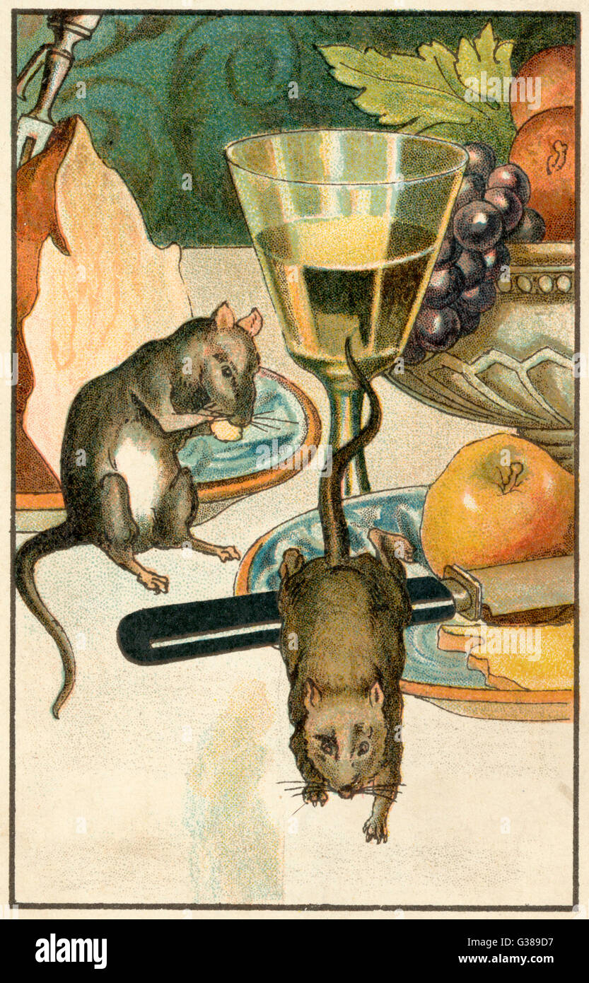Town - Country Mouse Stock Photo - Alamy