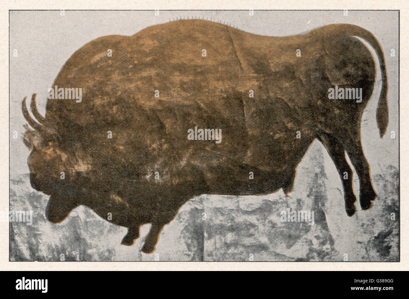 Bison Cave Painting High Resolution Stock Photography and Images - Alamy