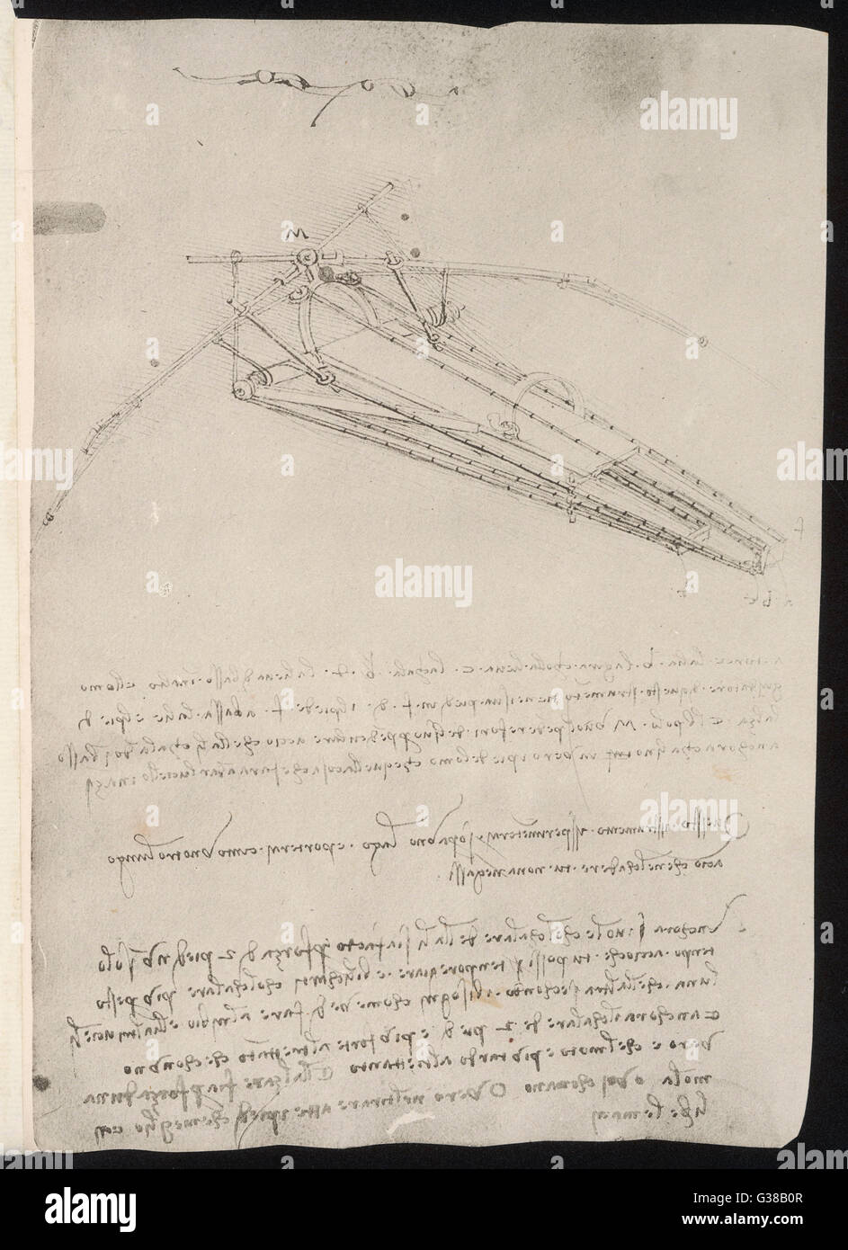 Leonardo flying machine hi-res stock photography and images - Alamy