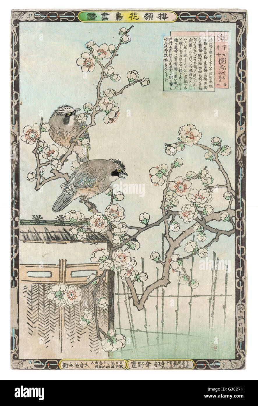 Birds in the spring Cut Out Stock Images & Pictures - Alamy