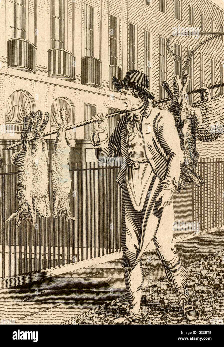 Dead rabbit hi-res stock photography and images - Alamy