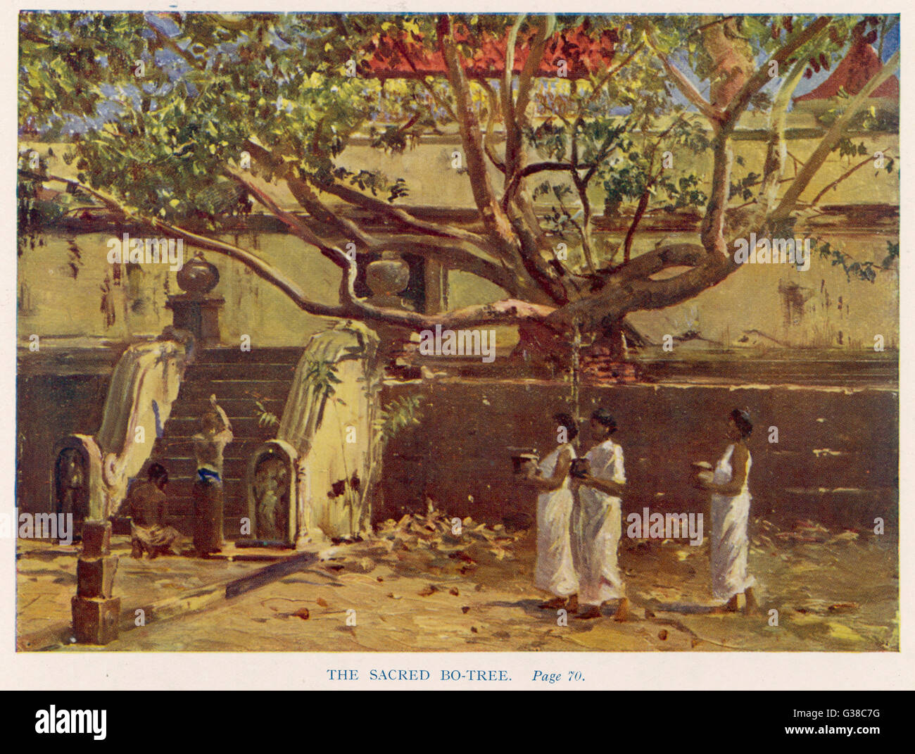 Buddha's enlightenment tree hi-res stock photography and images - Alamy