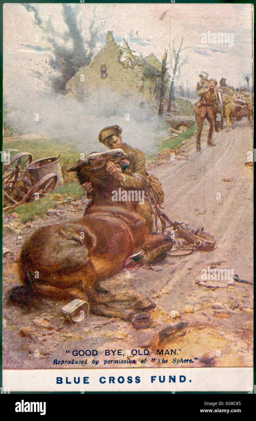 Ww1 Soldier And Horse High Resolution Stock Photography and Images - Alamy