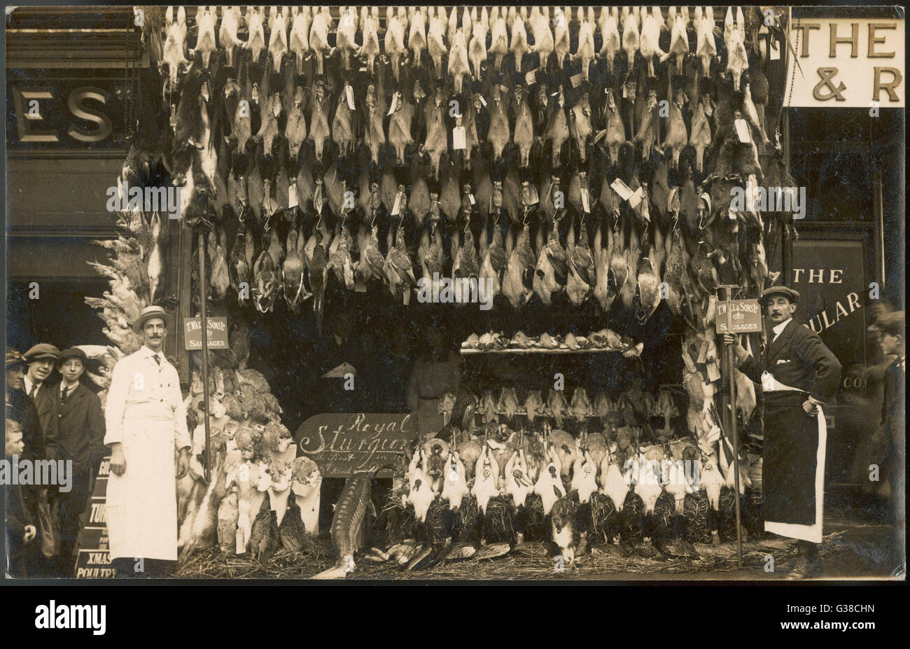 POULTERER - FISHMONGER Stock Photo - Alamy